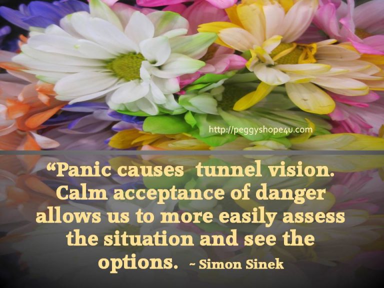 A Panic Attack Makes a Dangerous Situation Worse | Peggy's Hope 4U