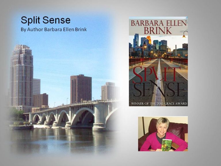 Book Review: Split Sense by Barbara Ellen Brink | Peggy's Hope 4U