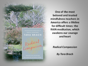 Radical Compassion: A Healing Journey | Peggy's Hope 4U